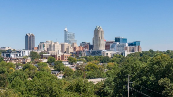 18 Pros And Cons Of Living In Raleigh North Carolina • African Jacana
